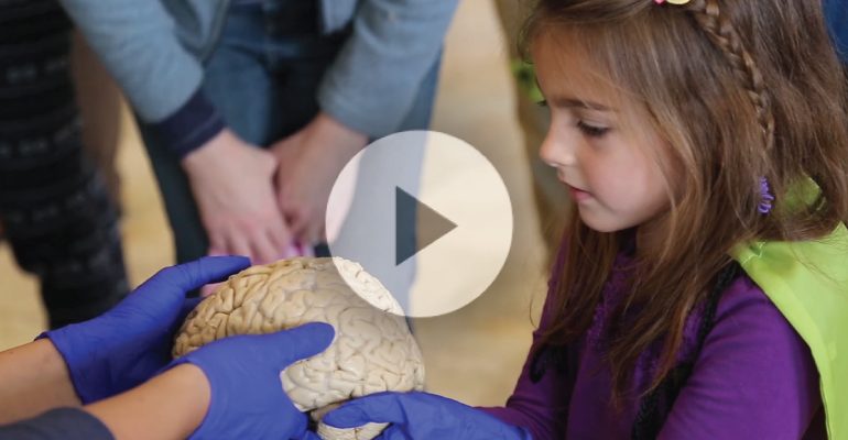 How does your brain form memories? | Morgridge Institute for Research