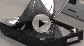 How does your brain form memories? | Morgridge Institute for Research