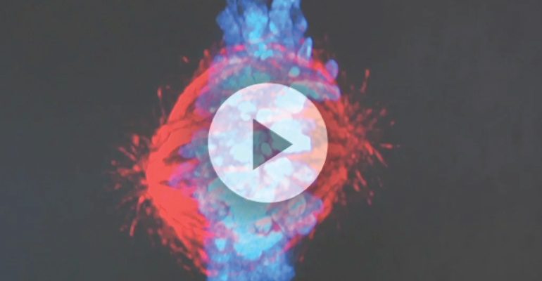 How are cells created? | Morgridge Institute for Research