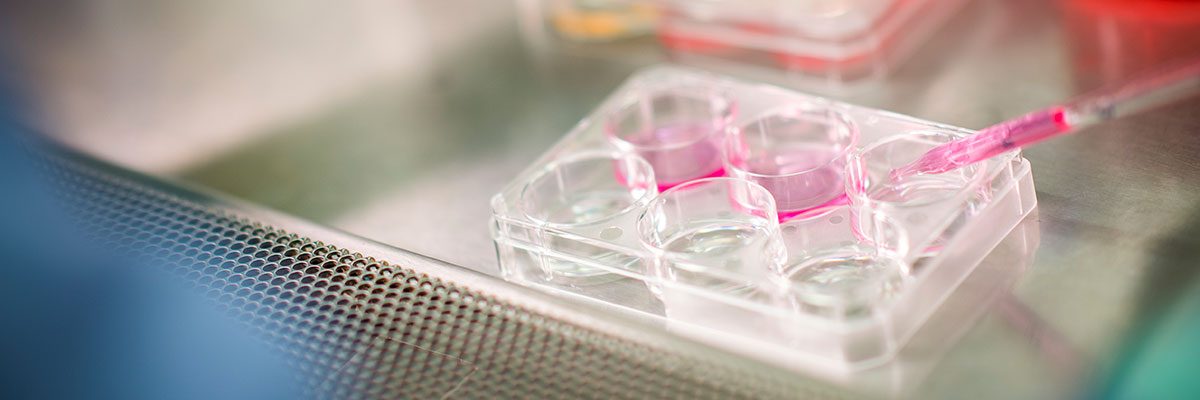 What Is Bioethics? | Morgridge Institute for Research