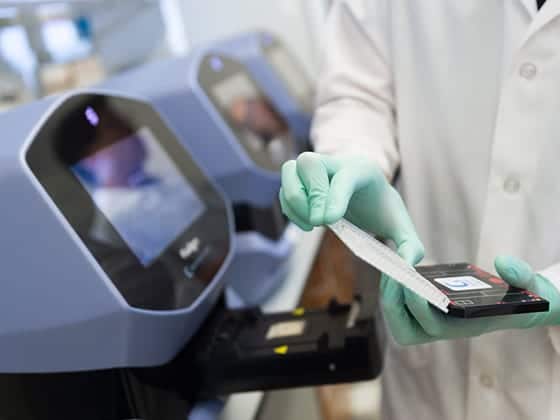 Regenerative Biology – Morgridge Institute for Research